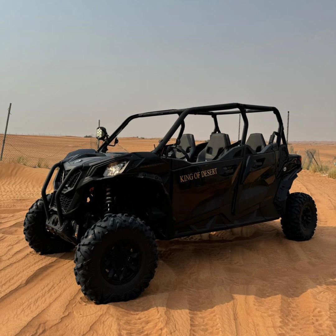 Buggy Can-am Maverick Sport ( 4 places )